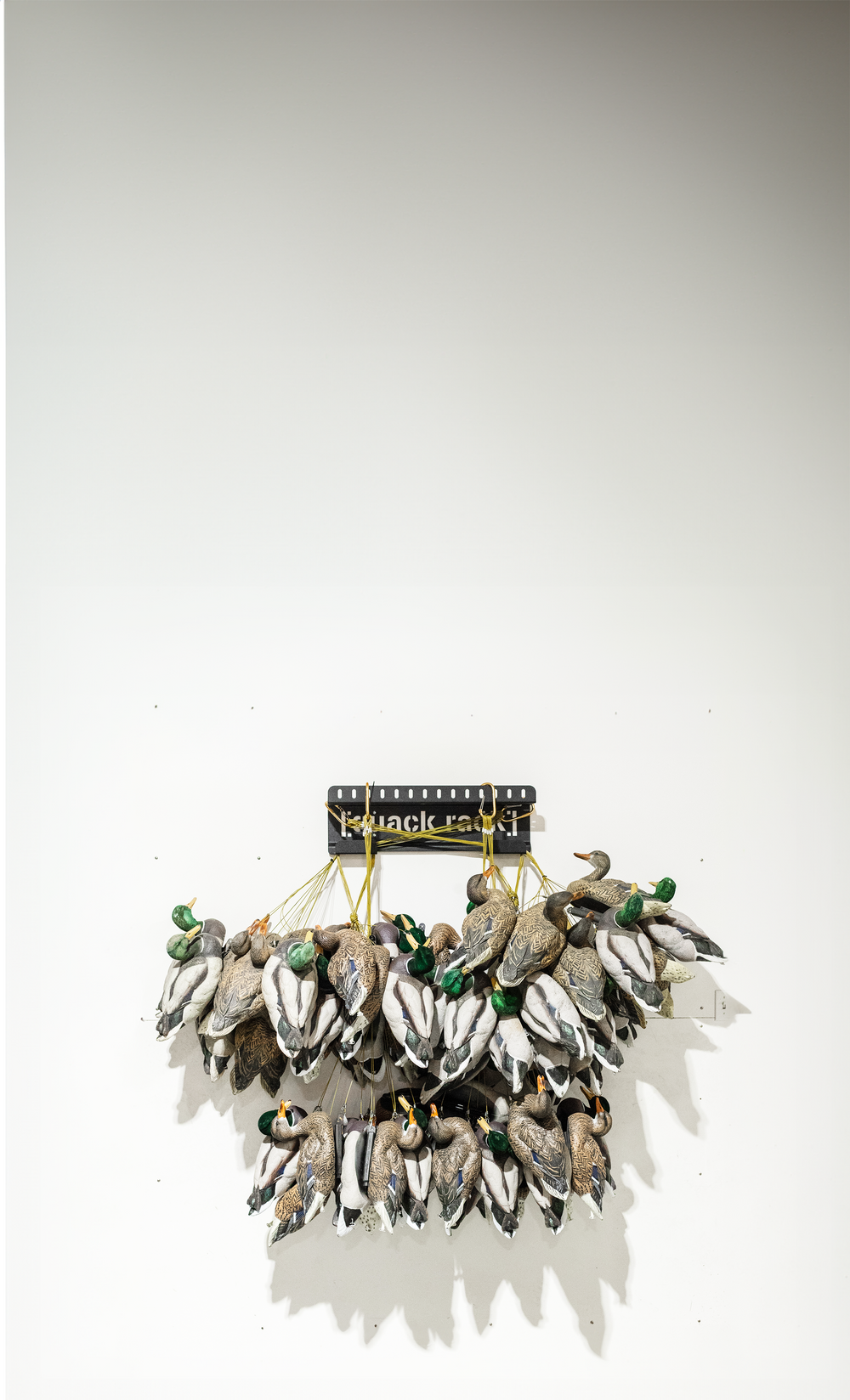 Welcome to QuackRack - Your #1 Source for UTV and Marine Accessories